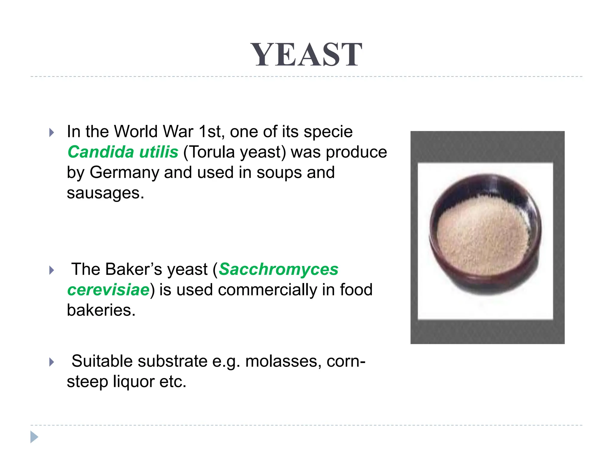 Chapter 4 Application of microbes in food biotechnology.pptx