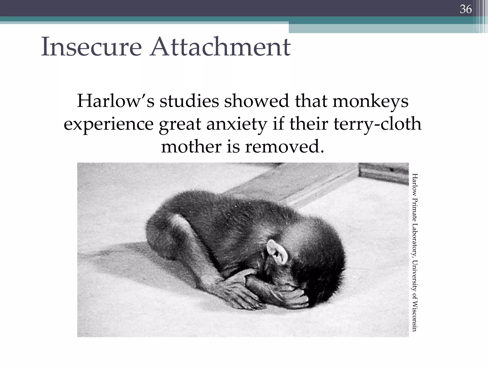 Chapter 4 ap psych- Developmental Psych | PPT