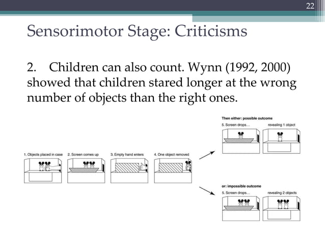 Chapter 4 ap psych- Developmental Psych | PPT