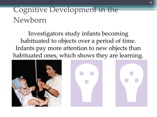 Chapter 4 ap psych- Developmental Psych | PPT