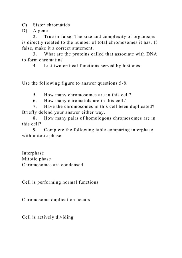 Chapter 4 A Tour of the CellChapter 4 A Tour of the CellName.docx