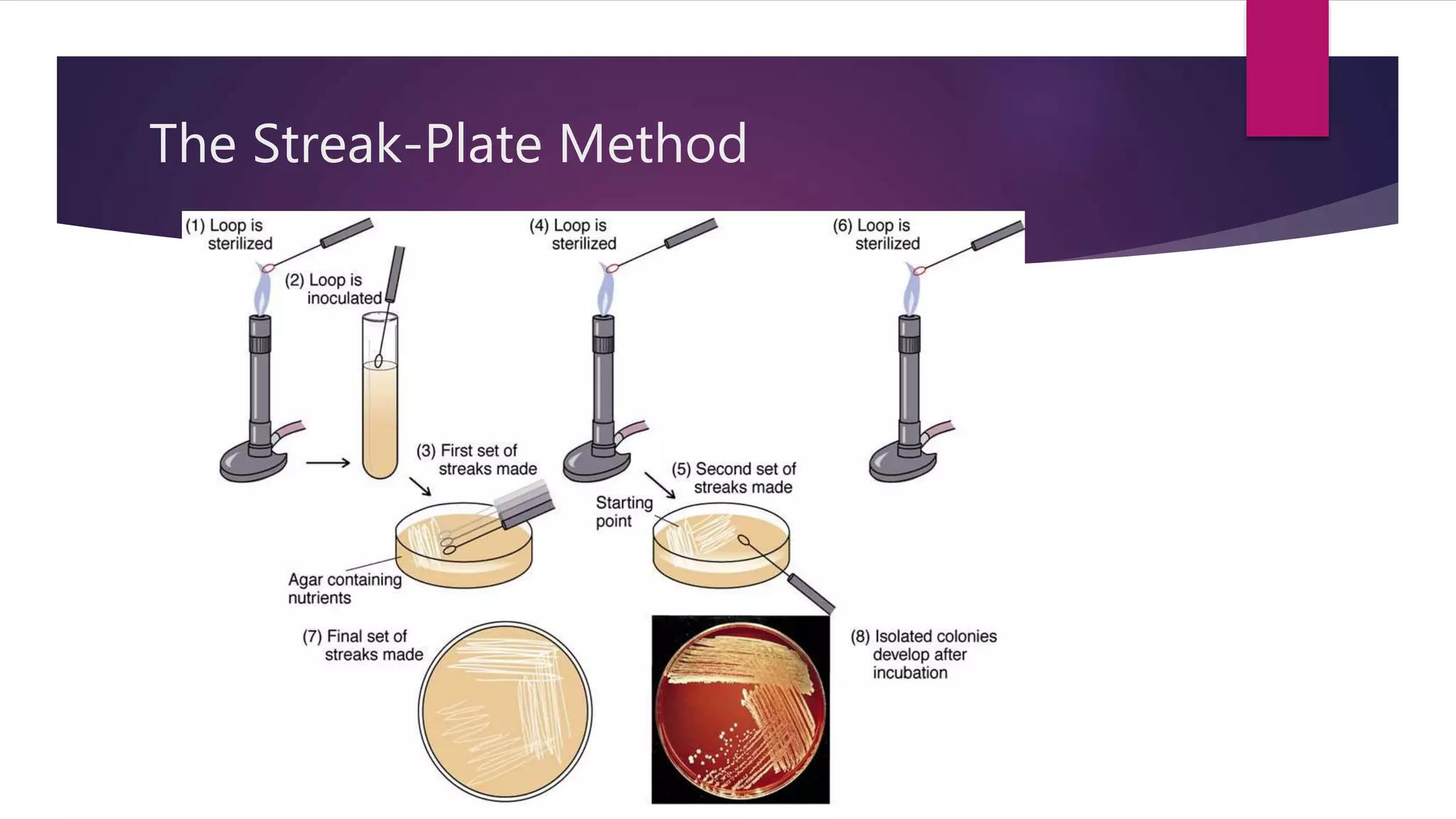 Chapter 4 Bacterial Growth Requirements | PPTX