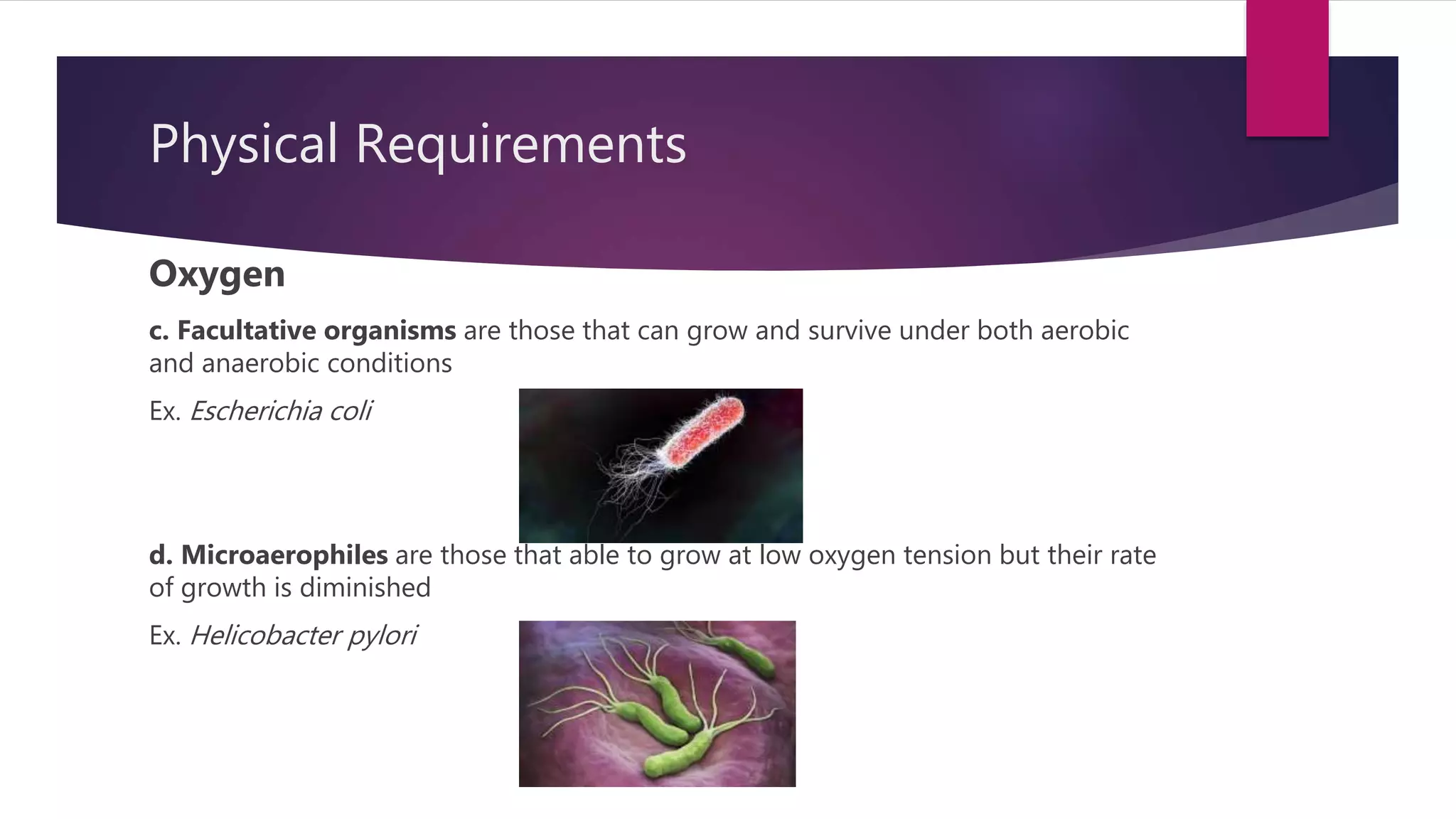 Chapter 4 Bacterial Growth Requirements | PPTX