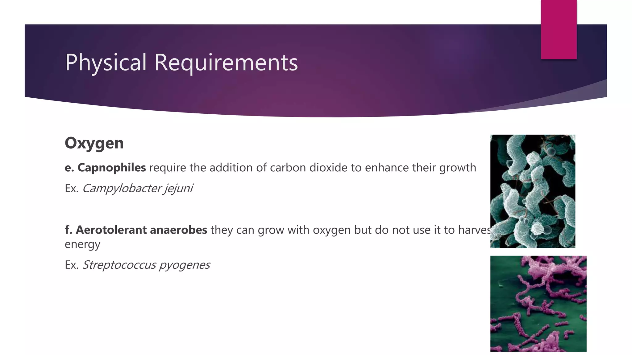Chapter 4 Bacterial Growth Requirements | PPTX