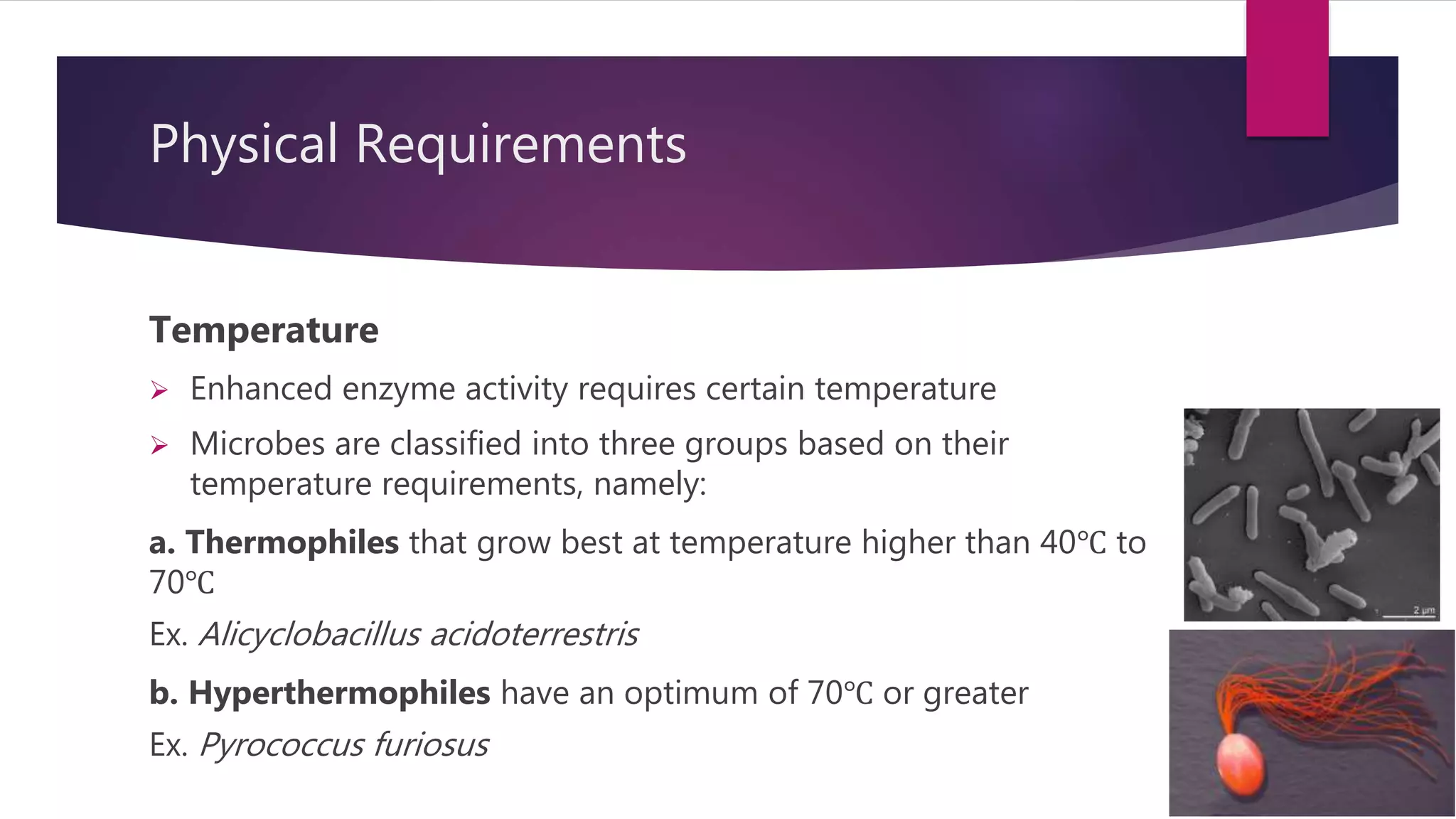 Chapter 4 Bacterial Growth Requirements | PPTX