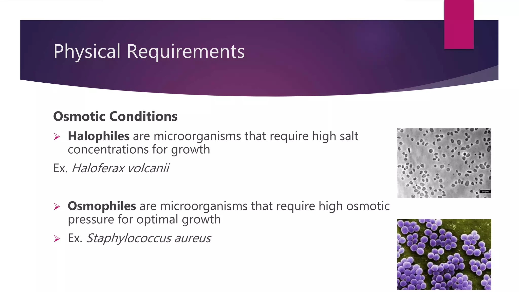 Chapter 4 Bacterial Growth Requirements | PPTX