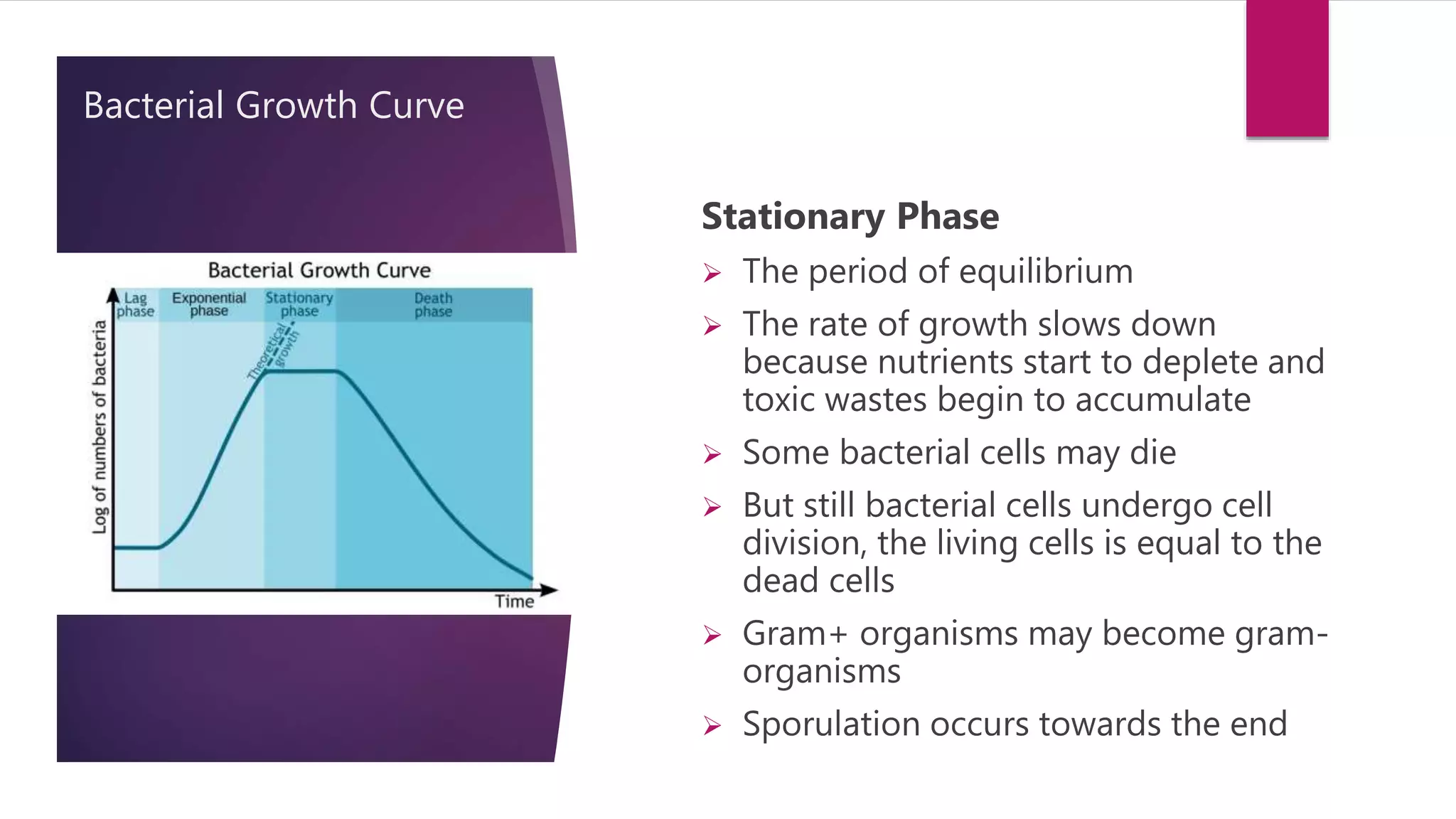 Chapter 4 Bacterial Growth Requirements | PPTX