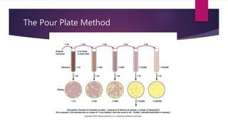 Chapter 4 Bacterial Growth Requirements | PPTX