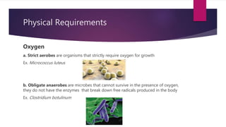 Chapter 4 Bacterial Growth Requirements | PPTX