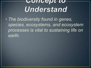 Chapter 4 biodiversity | PPTX