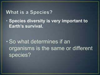 Chapter 4 biodiversity | PPTX