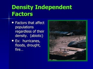 Chapter 4 Biology | PPT