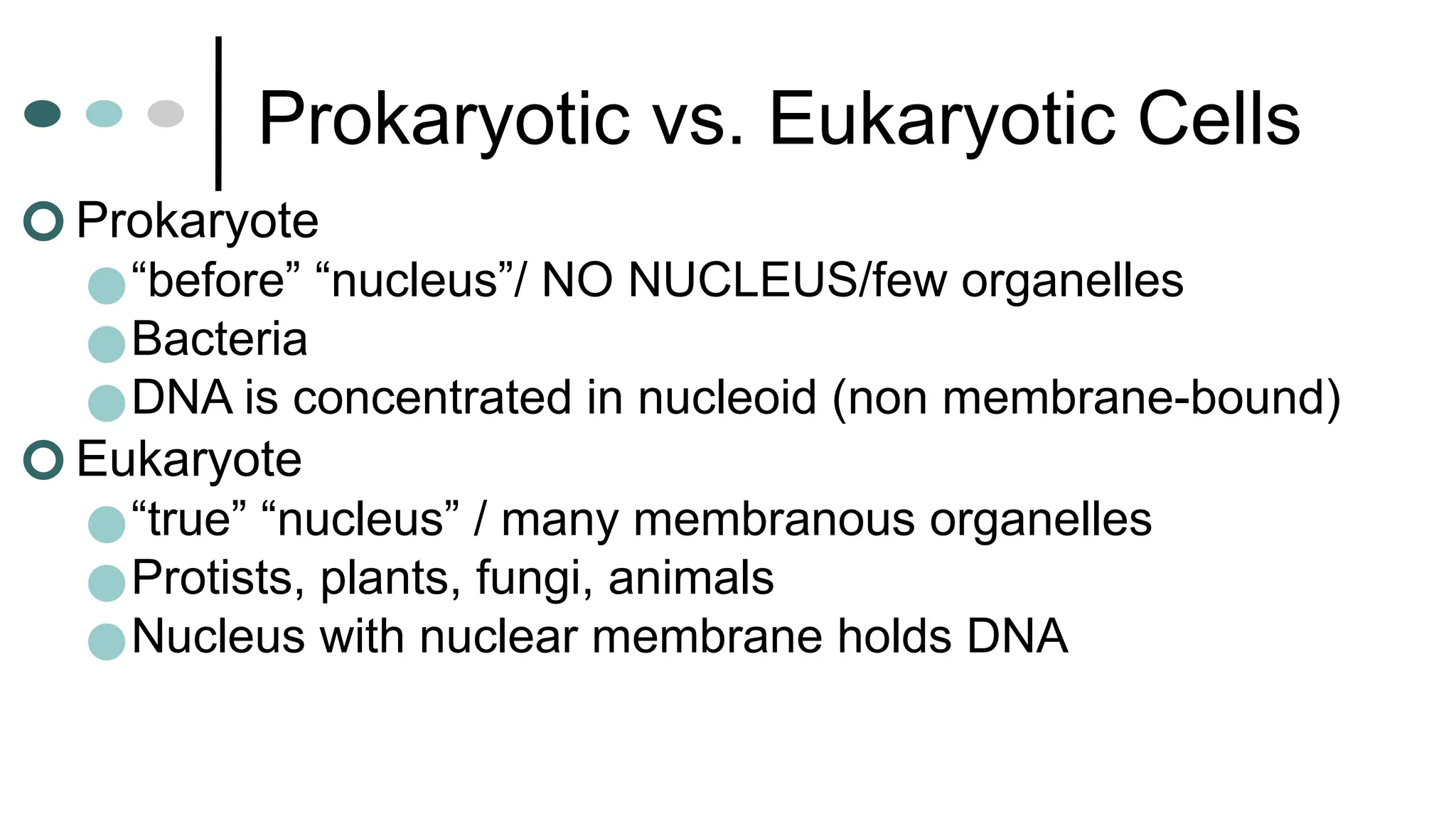 Chapter 4 Biology cell organelles and functions | PPTX