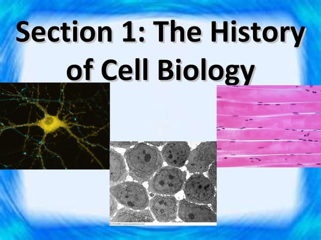 Chapter 4 - Cells | PPT | Biological Sciences | Science