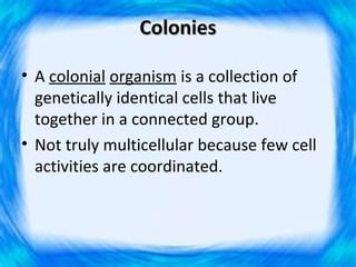 Chapter 4 - Cells | PPT