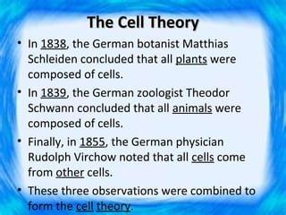 Chapter 4 - Cells | PPT | Biological Sciences | Science
