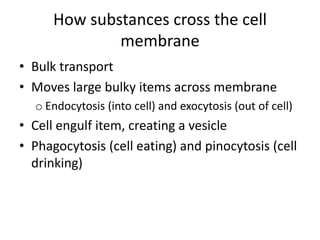 Chapter 4 cell structure | PPTX
