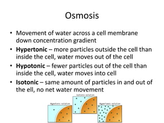 Chapter 4 cell structure | PPT