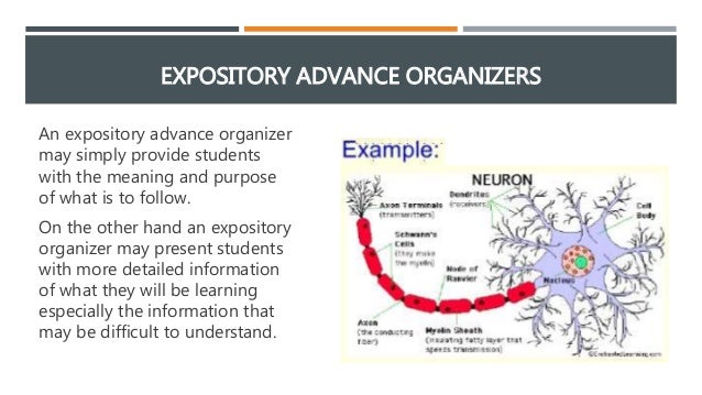 Chapter 4 – cues, questions and advance
