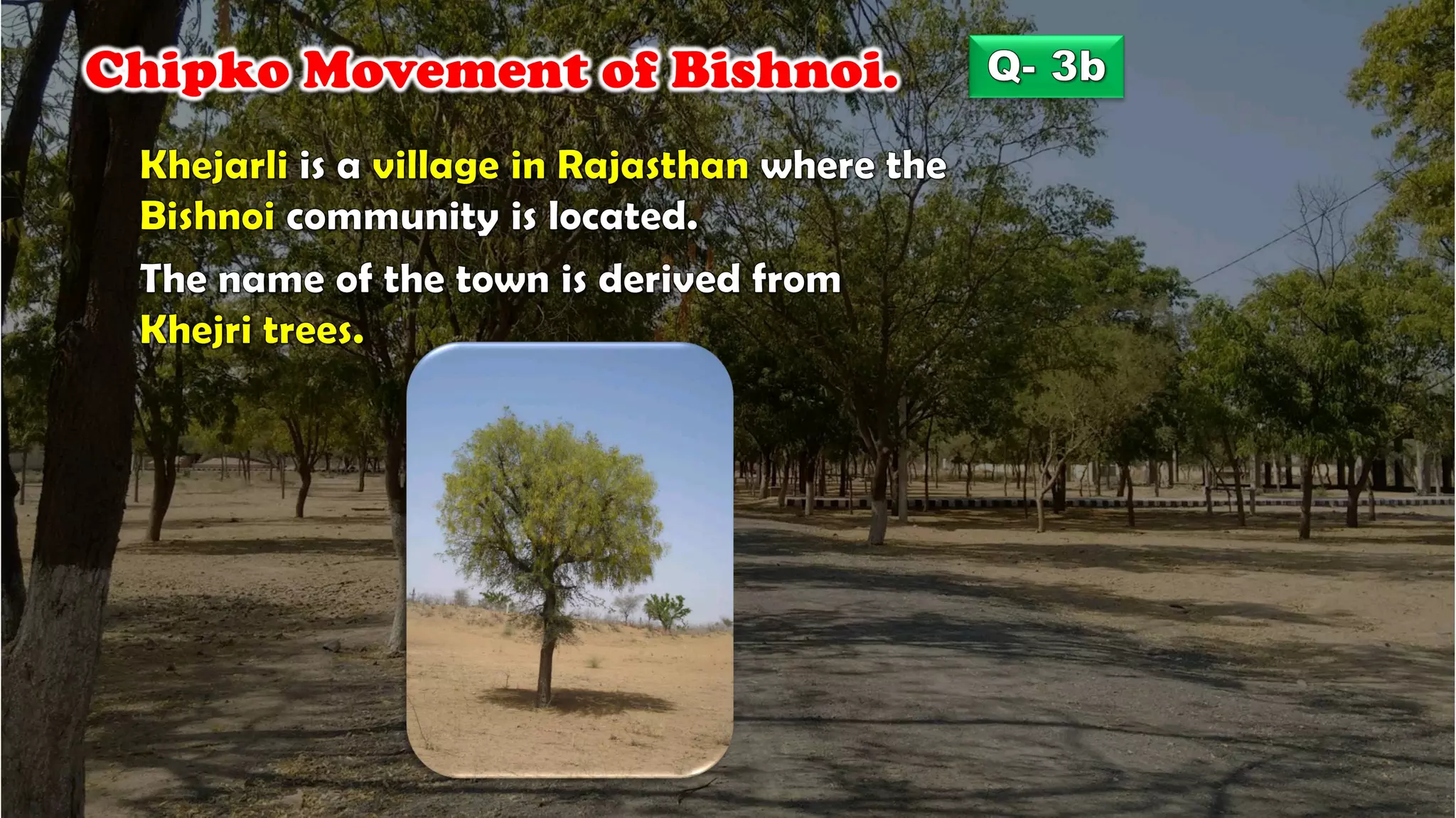 environmental management full notes ssc class 10th | PDF