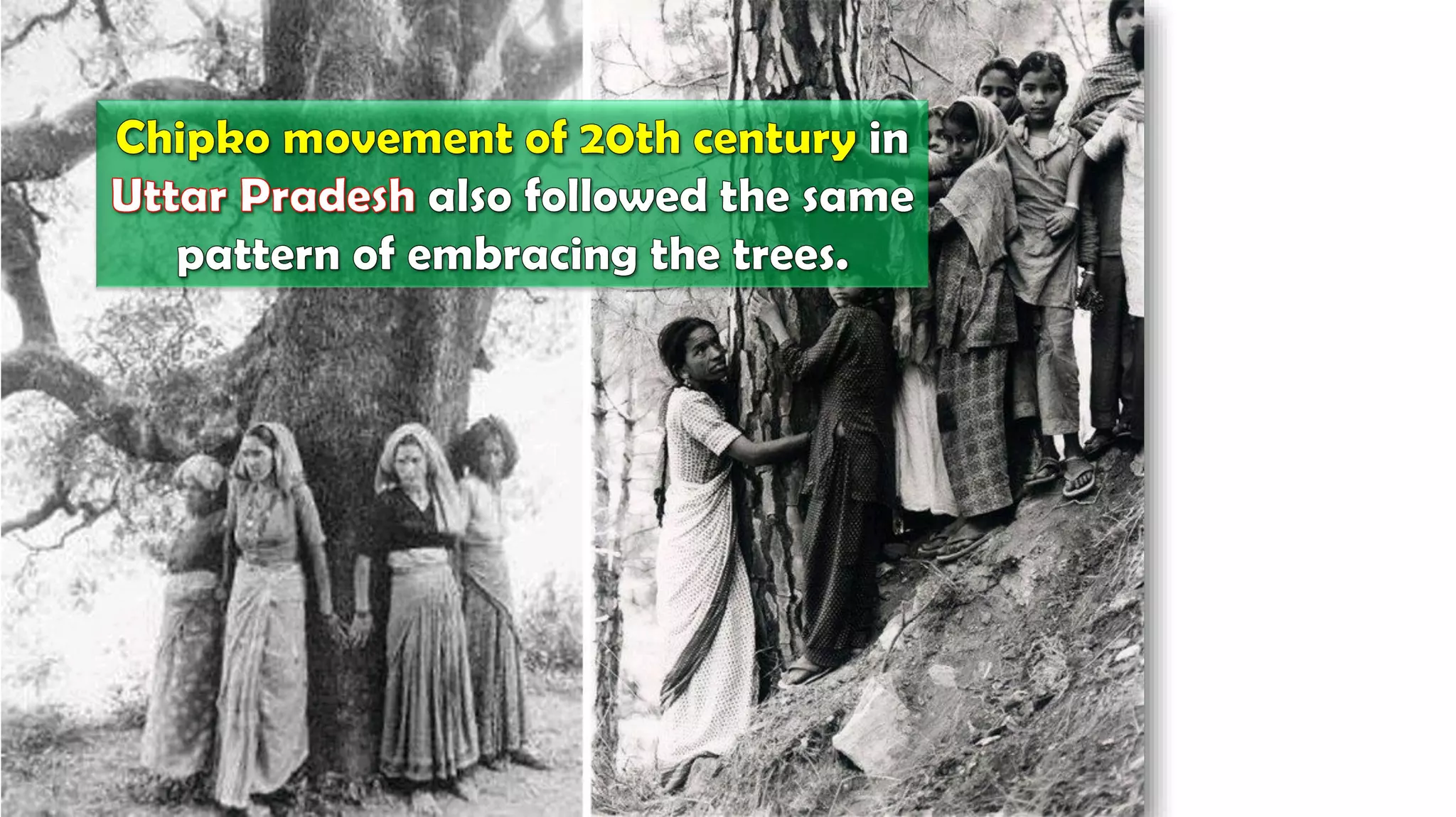 environmental management full notes ssc class 10th | PDF