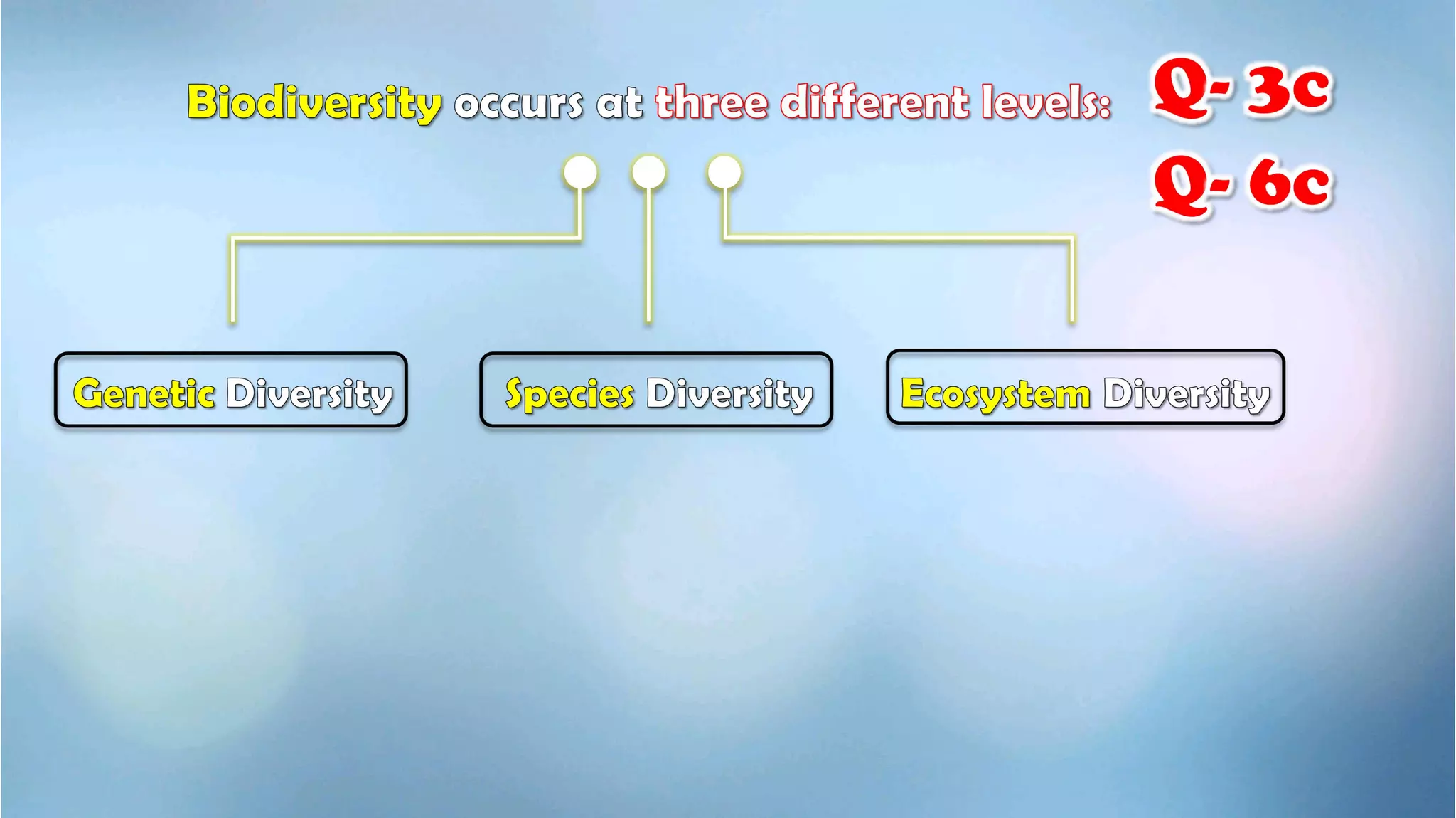 environmental management full notes ssc class 10th | PDF