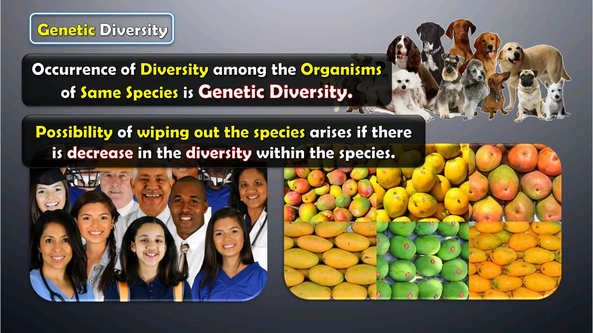 environmental management full notes ssc class 10th | PDF