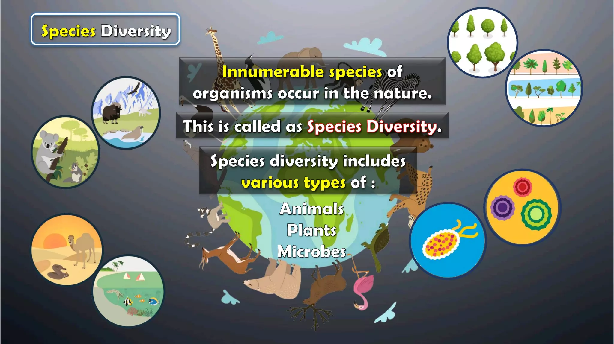 environmental management full notes ssc class 10th | PDF