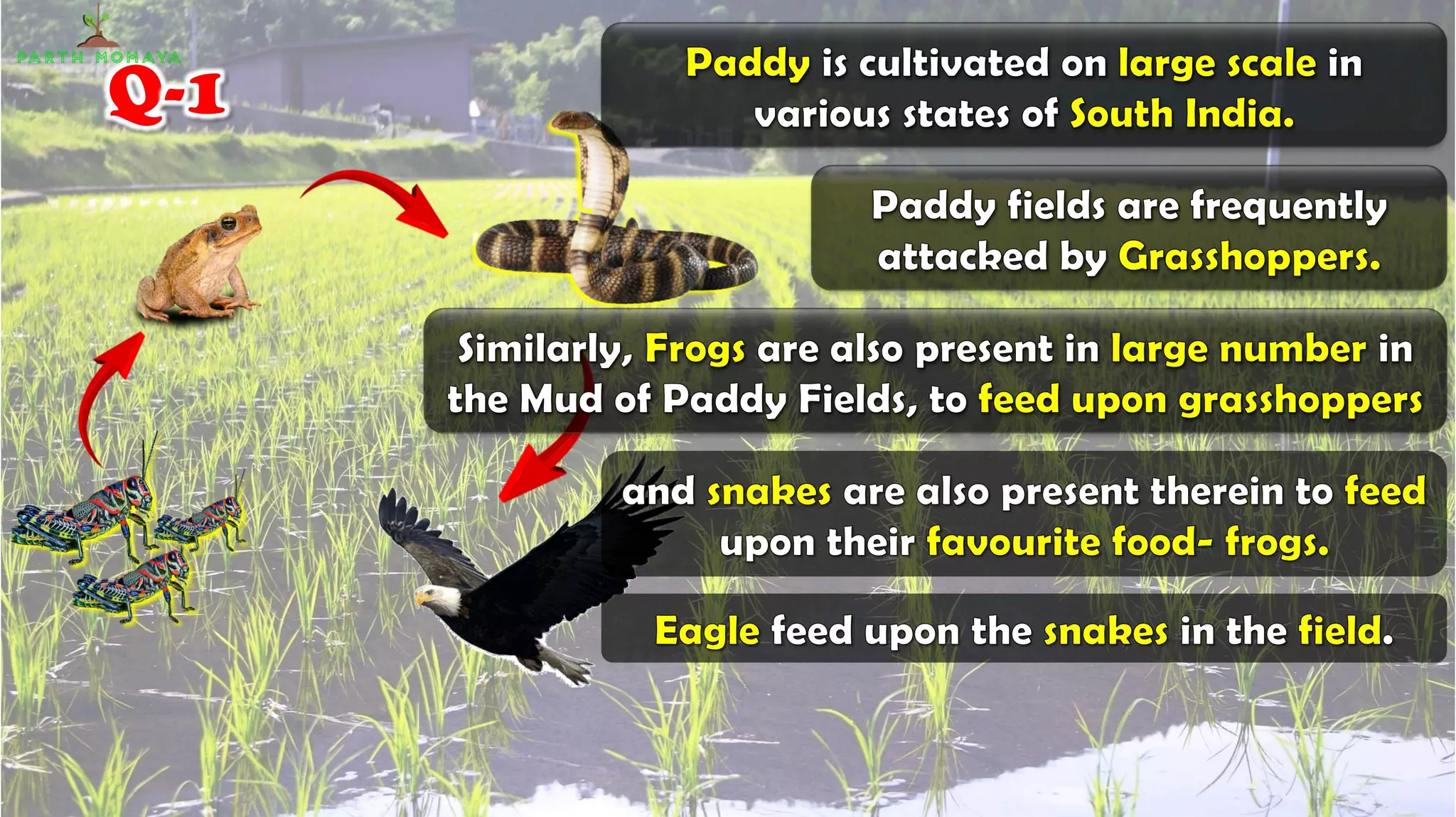 environmental management full notes ssc class 10th | PDF
