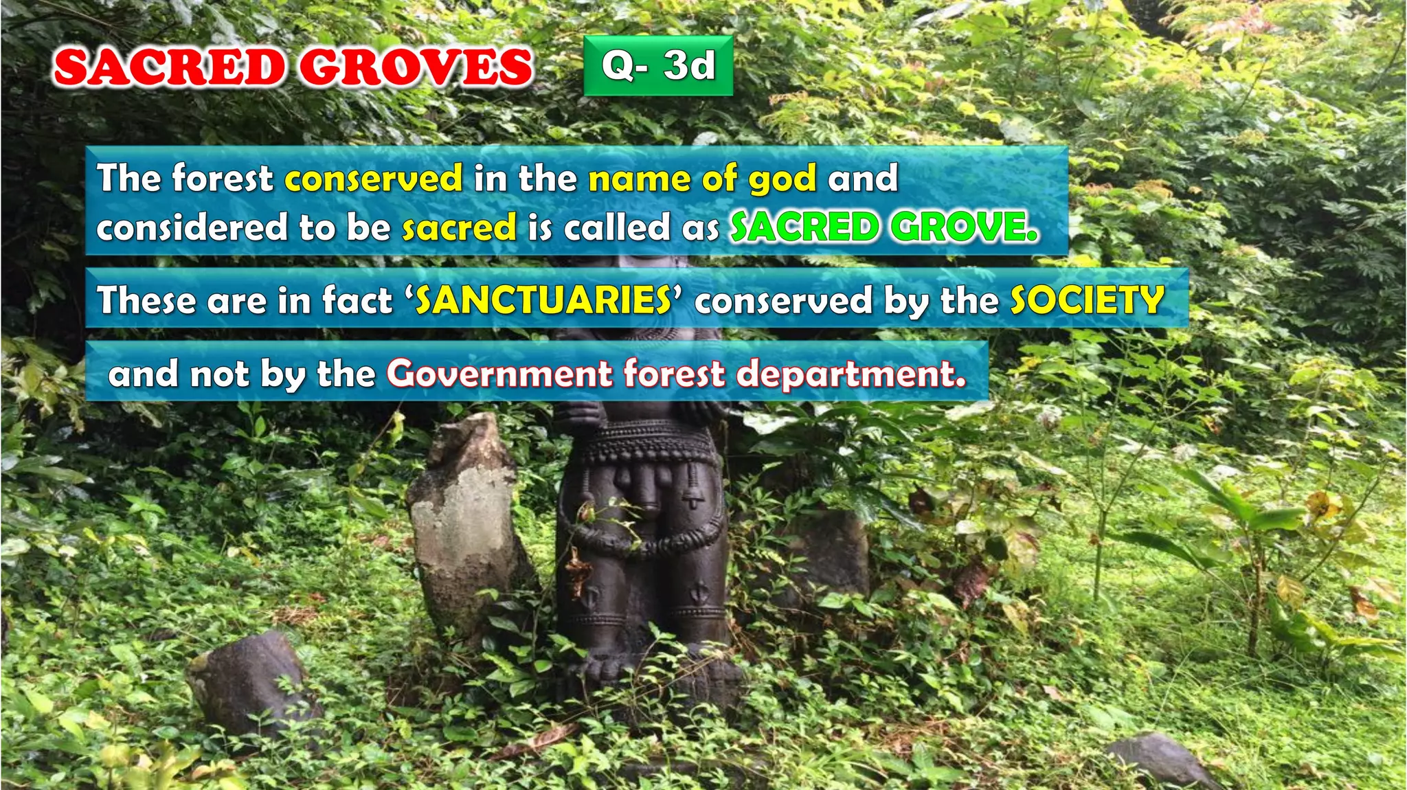 environmental management full notes ssc class 10th | PDF