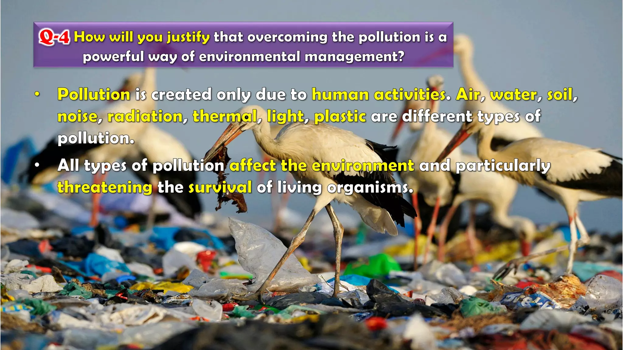 environmental management full notes ssc class 10th | PDF