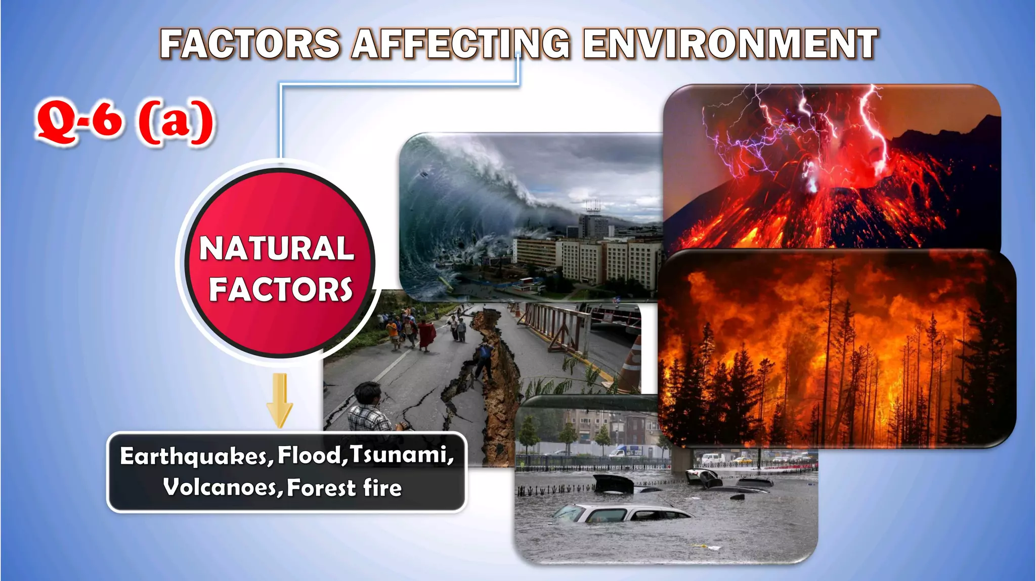 environmental management full notes ssc class 10th | PDF