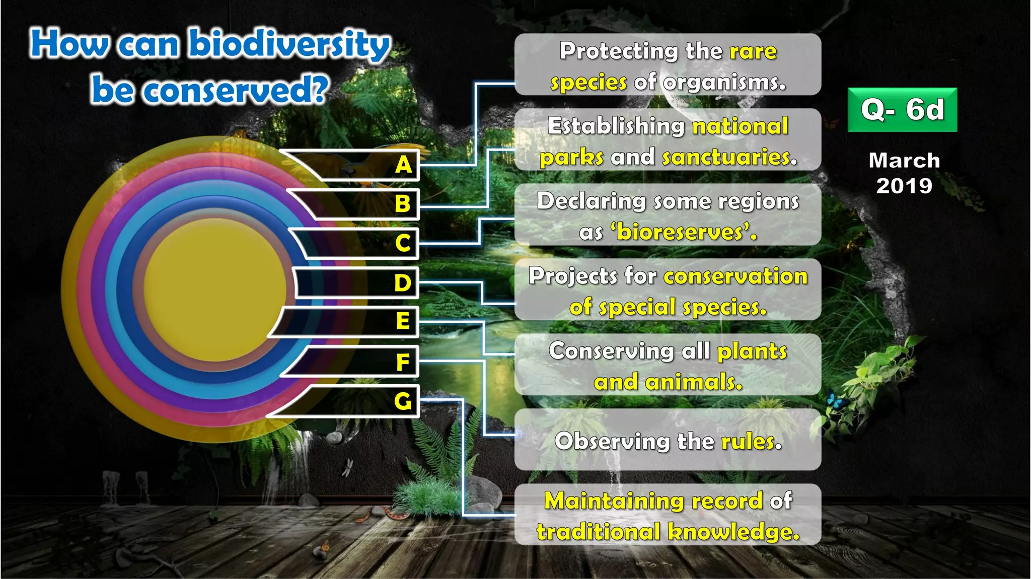 environmental management full notes ssc class 10th | PDF