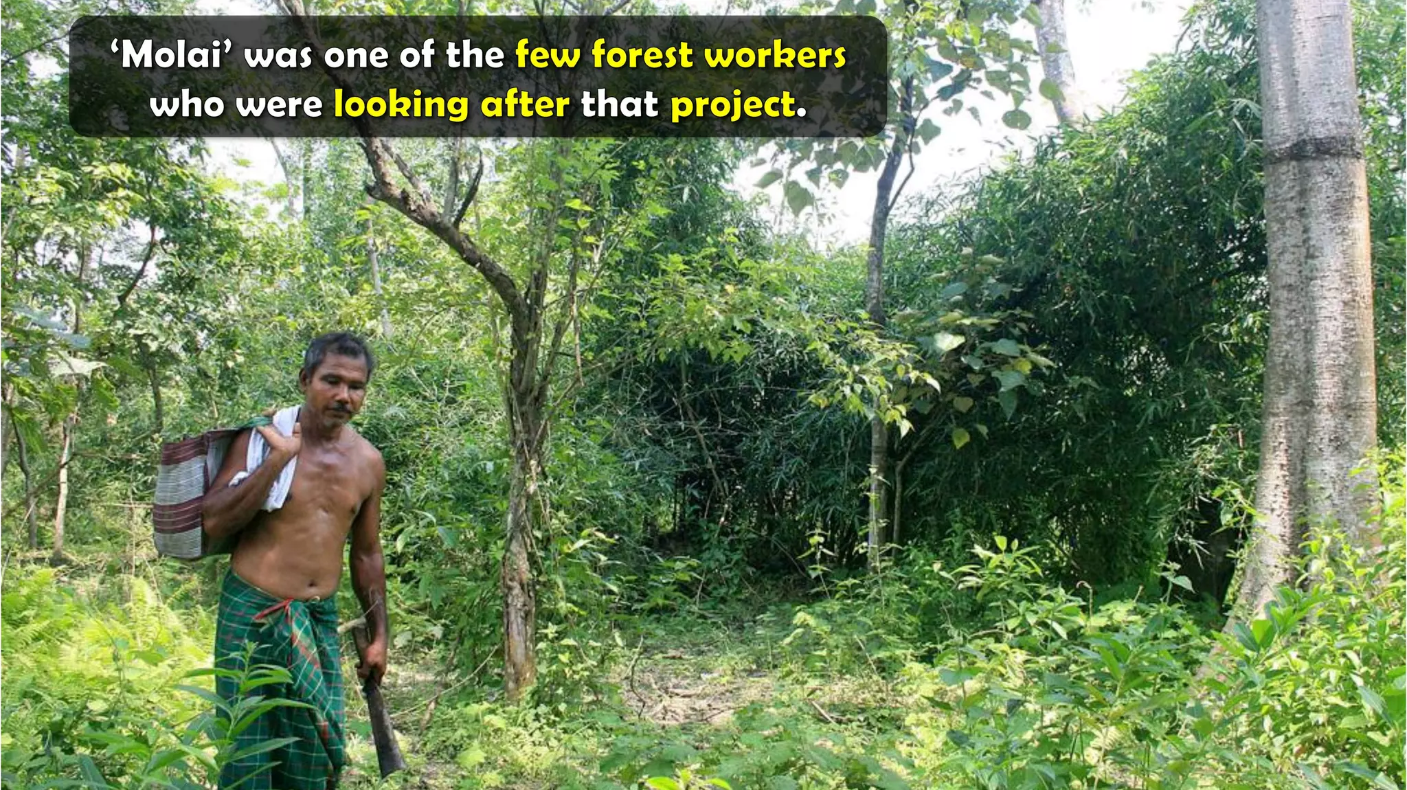 environmental management full notes ssc class 10th | PDF