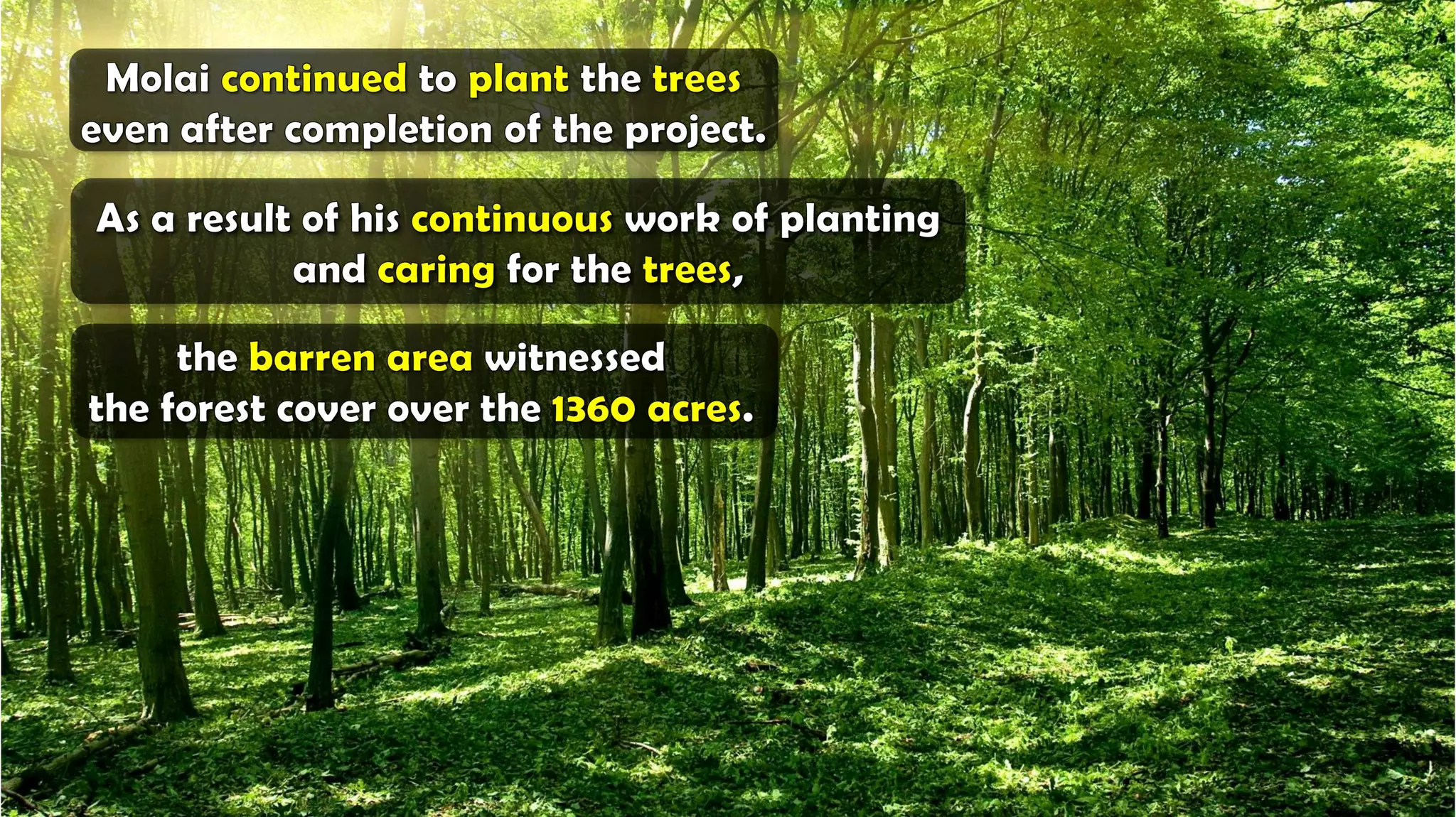 environmental management full notes ssc class 10th | PDF