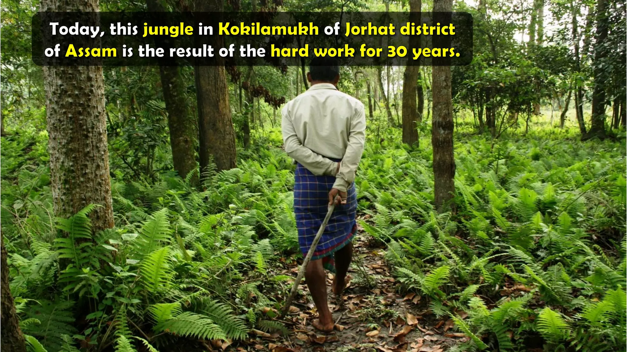 environmental management full notes ssc class 10th | PDF