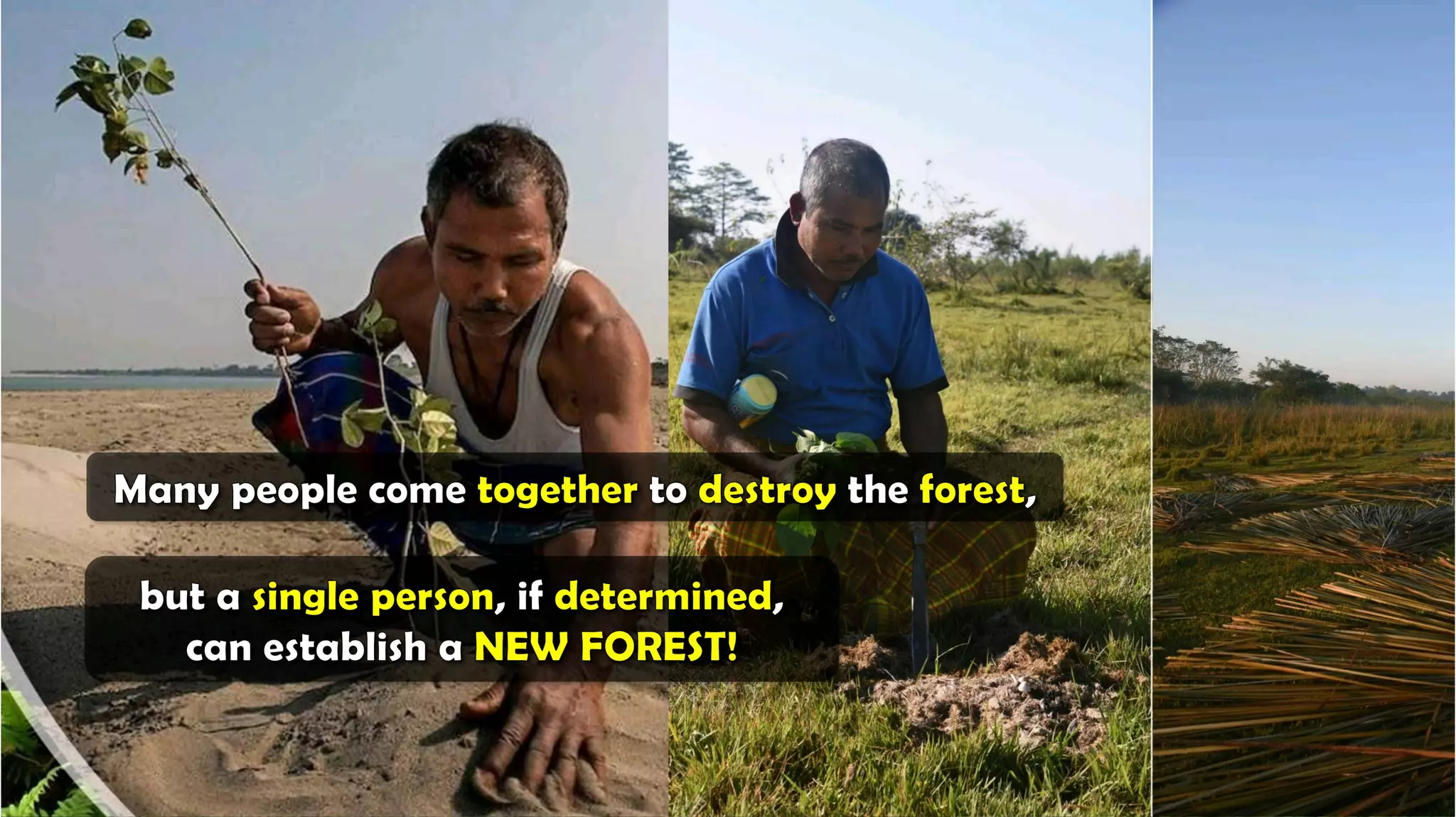 environmental management full notes ssc class 10th | PDF