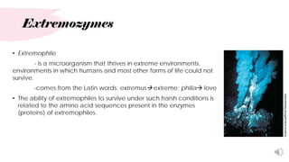 Chapter_4__Enzymes_and_Vitamins__Enzymes_part_2_.pdf.pdf
