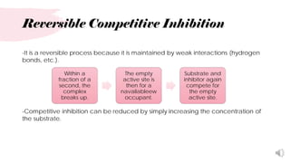 Chapter_4__Enzymes_and_Vitamins__Enzymes_part_2_.pdf.pdf