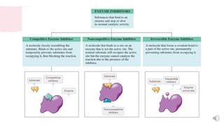 Chapter_4__Enzymes_and_Vitamins__Enzymes_part_2_.pdf.pdf