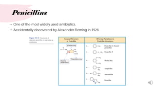 Chapter_4__Enzymes_and_Vitamins__Enzymes_part_2_.pdf.pdf