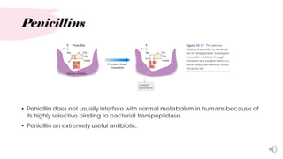 Chapter_4__Enzymes_and_Vitamins__Enzymes_part_2_.pdf.pdf