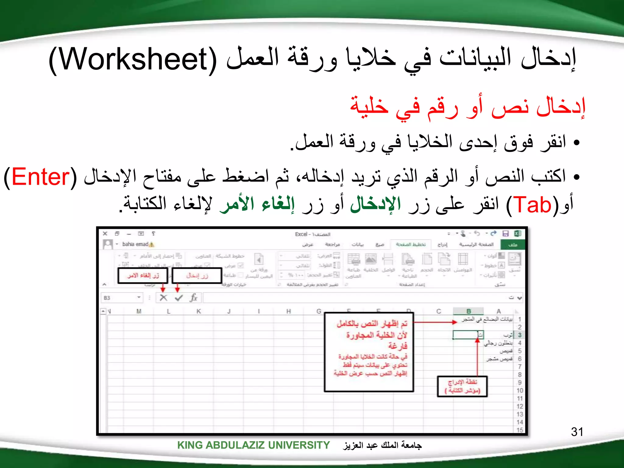 CPIT100 Chapter 4 excel | PDF
