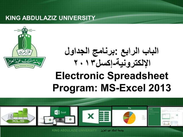 CPIT100 Chapter 4 excel | PDF