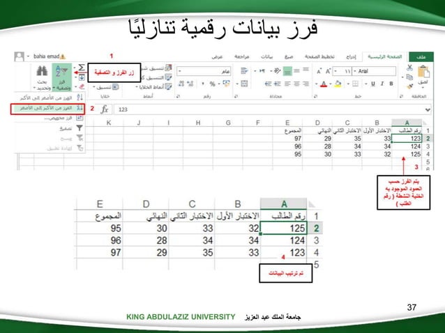 CPIT100 Chapter 4 excel | PDF