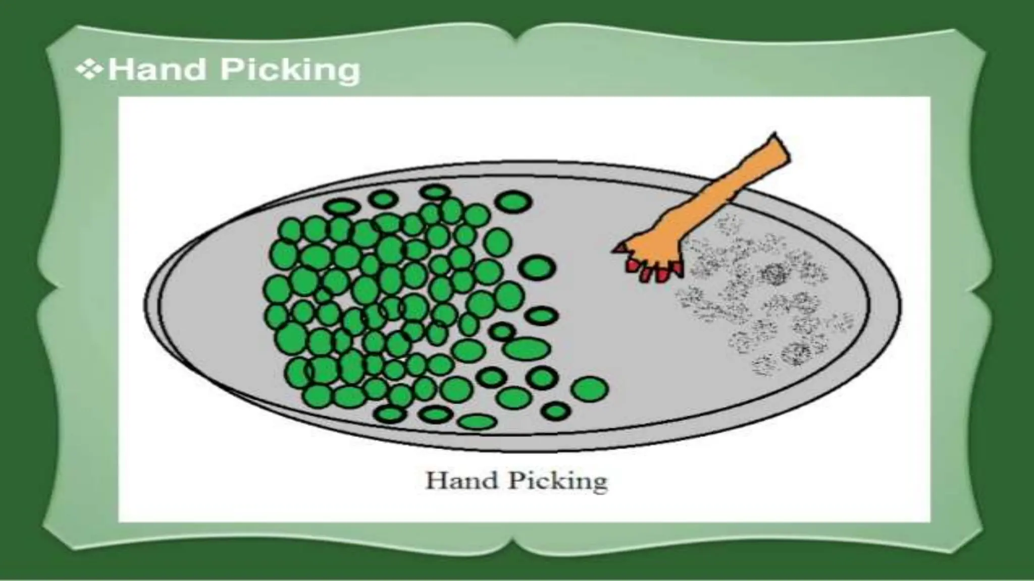 Chapter 4 Exploring Diversity Of Matter Using Separation Techniques Pptx