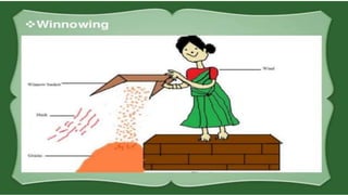 CHAPTER 4 EXPLORING DIVERSITY OF MATTER USING SEPARATION TECHNIQUES.pptx