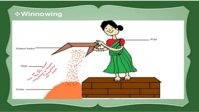Chapter 4 Exploring Diversity Of Matter Using Separation Techniques Pptx