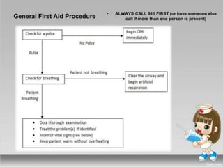 CHAPTER 4 First Aid.ppt