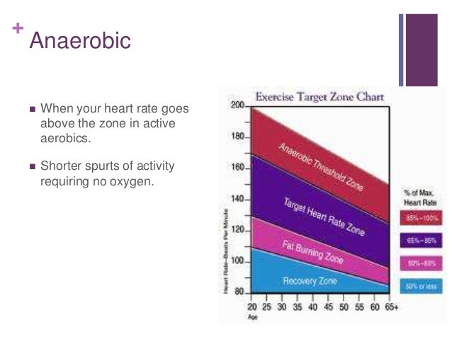 Chapter 4 fitness 4 life middle